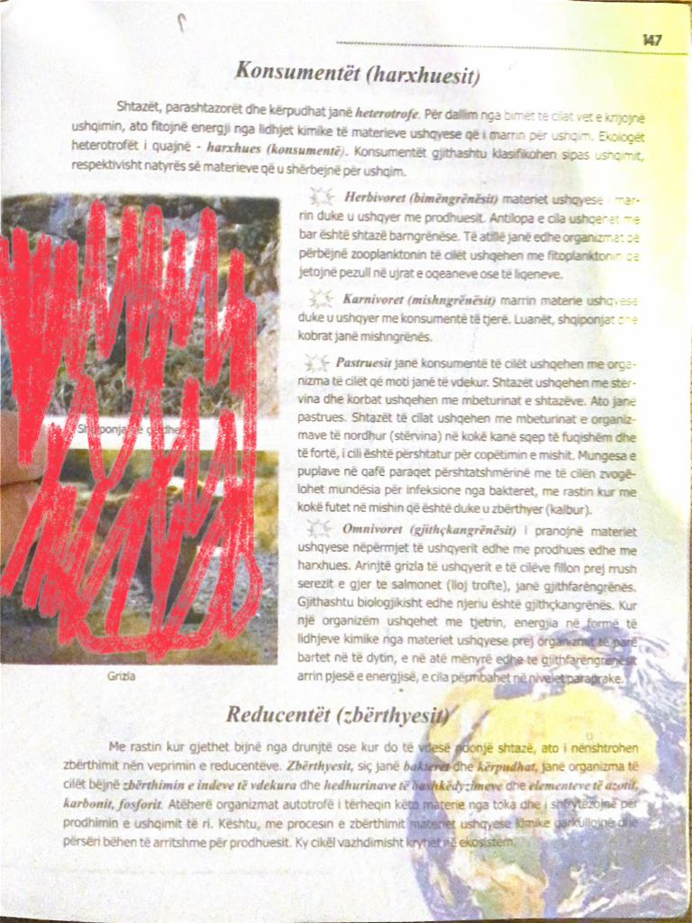 Scanned Document 2 | PDF