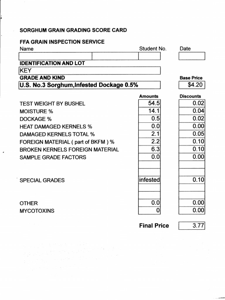 2018 Agronomy CDE Key Sorghum Grain Grading Score Card | PDF