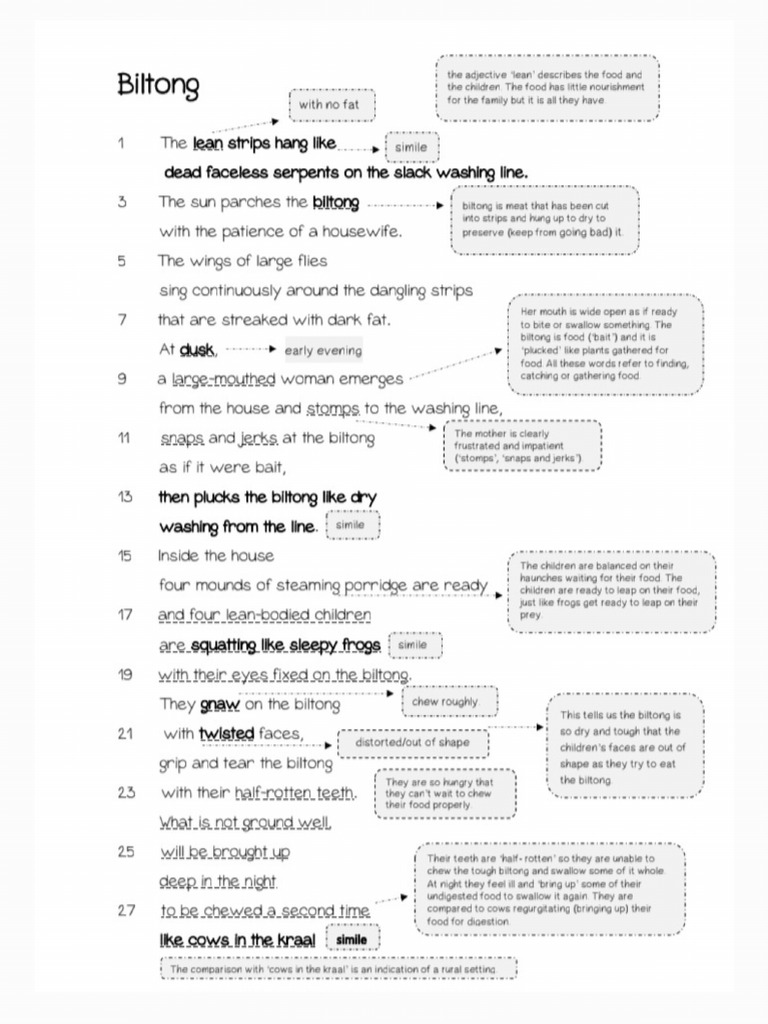 James Thwala-Biltong | PDF