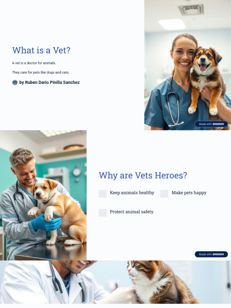 What-is-a-Vet | PDF