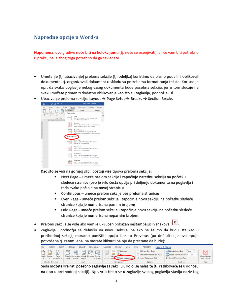 Napredne Opcije U Word-U | PDF