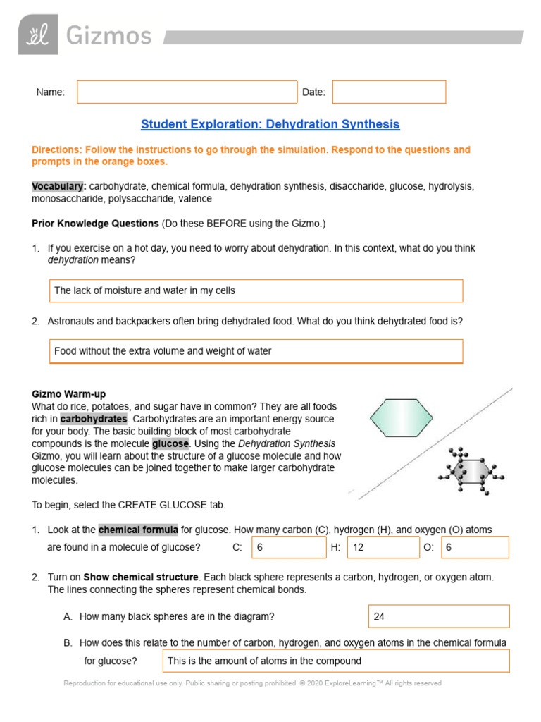 Dehydration Synthesis Gizmo SE | PDF | Carbohydrates | Glucose