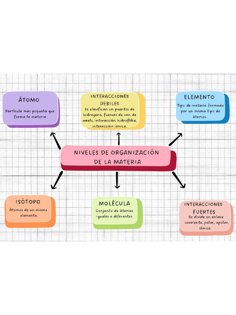 Mapa Conceptual | PDF