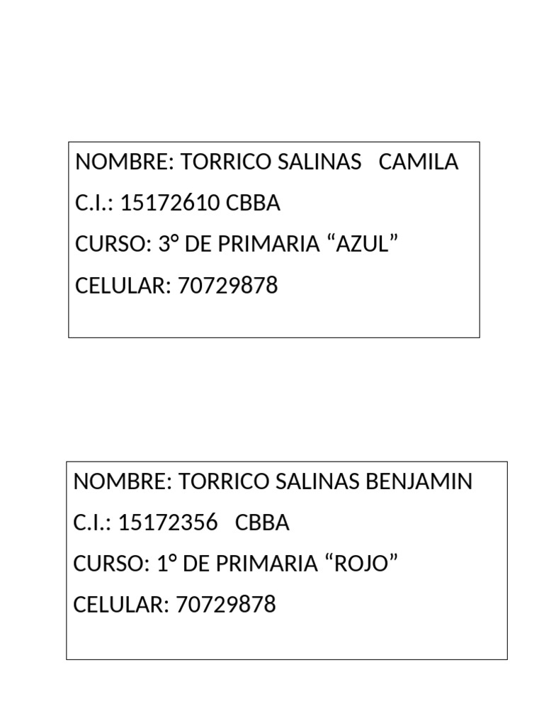 Camila Benjamin | PDF