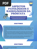 Ultrassonografia na Hiperplasia Prostática | PDF | Remédio ...
