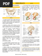 Anatomia do Osso Ilíaco e Pelve | PDF | Coluna vertebral | Pélvis
