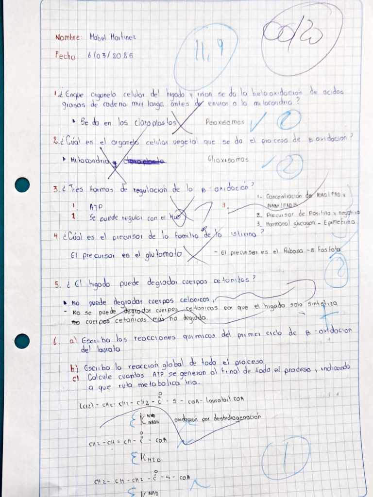Examen P 3 | PDF