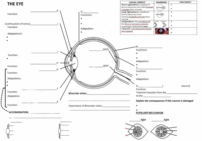 4.1 One Pager Eye | PDF