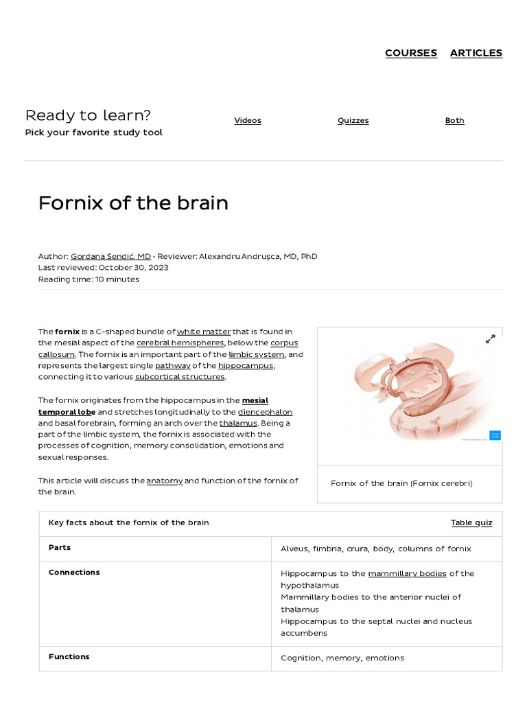 Fornix of The Brain - Anatomy and Functions - Kenhub | PDF ...