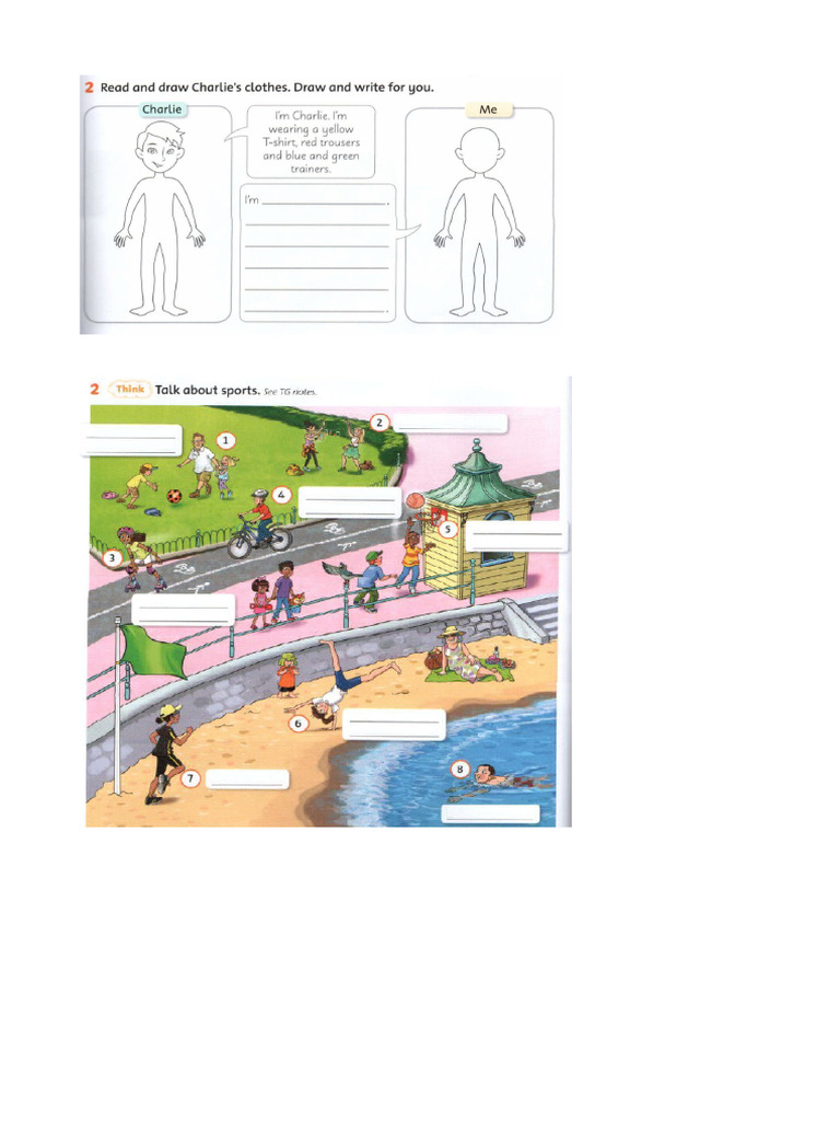 2022 Tomy Cuatrimestral | PDF