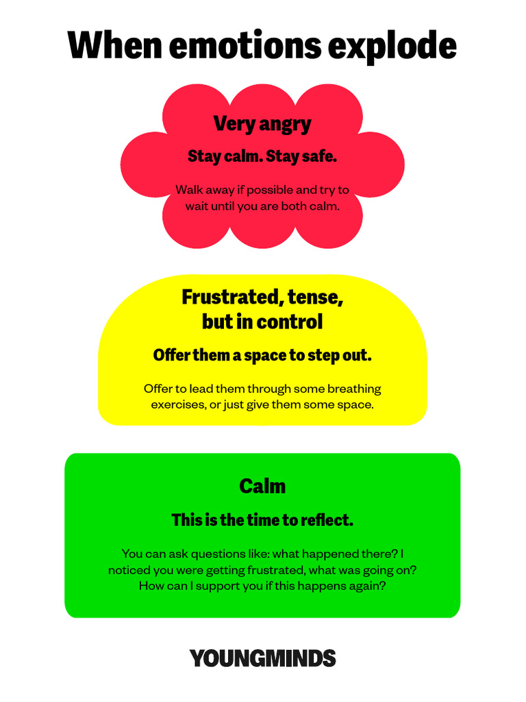 When Emotions Explode | PDF