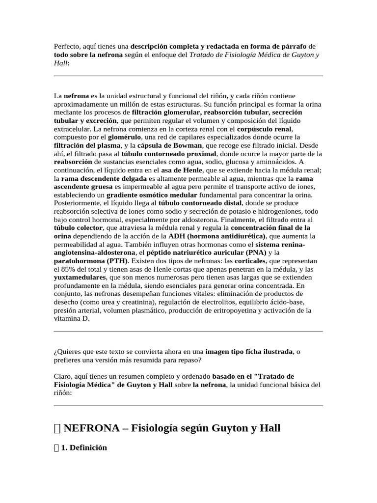 Nefrona | PDF | Riñón | Sistema urinario