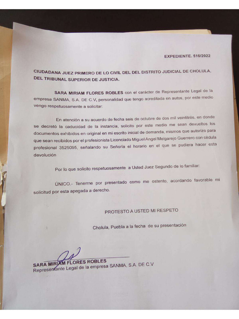 DEVOLUCIÓN DE DOCUMENTOS | PDF