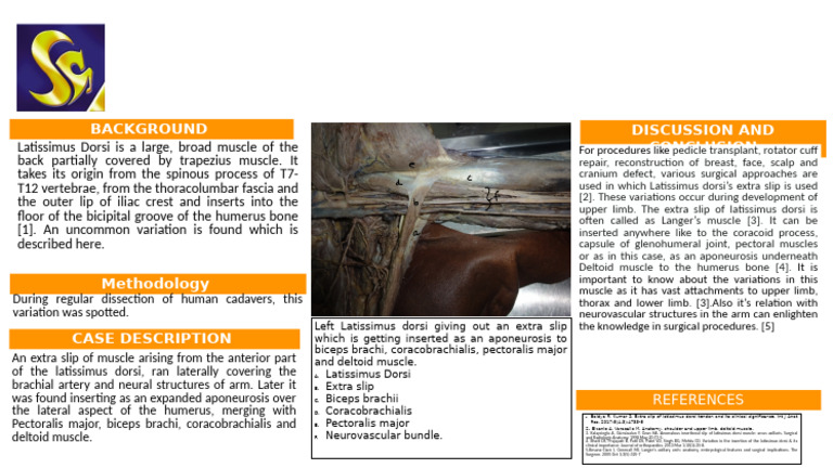 PO05047 - Yaajnavalkya Hebbar | PDF | Limbs (Anatomy) | Musculoskeletal ...