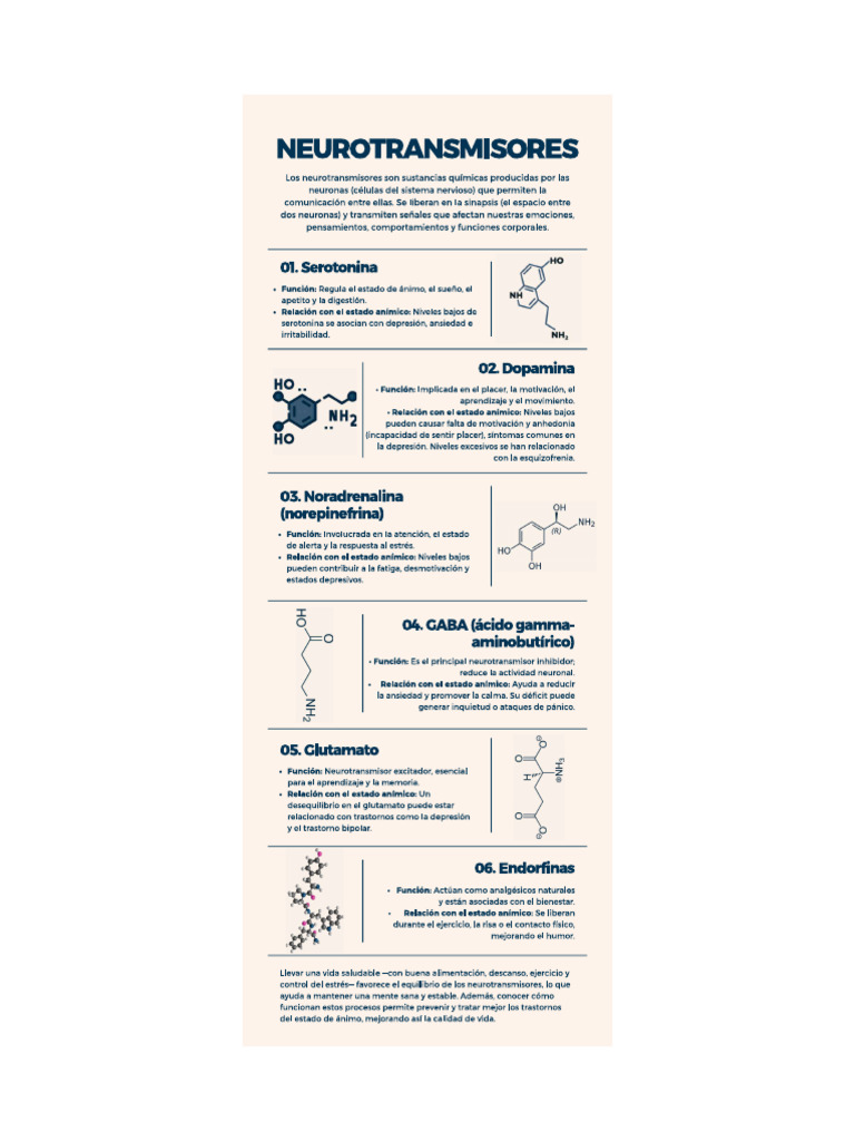 Infografia Neurotransmisores | PDF