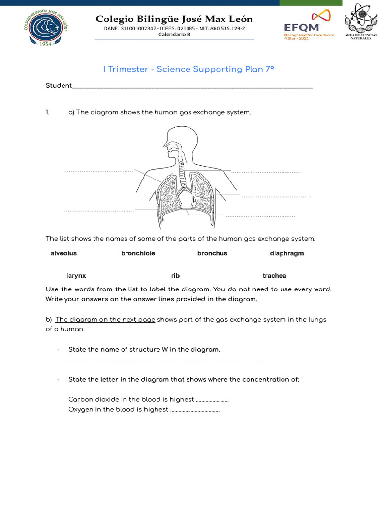Supporting Plan_Worksheet (1) | PDF | Experiment | Hypothesis