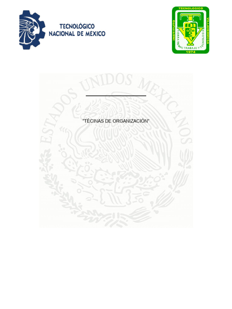 Organigrama de Soluciones Lifeder | PDF | Logística | Negocios económicos