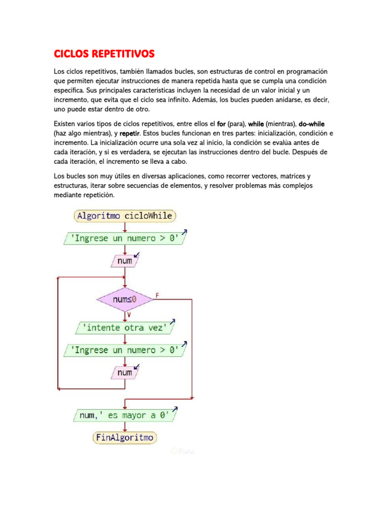 Ciclos Repetitivos | PDF