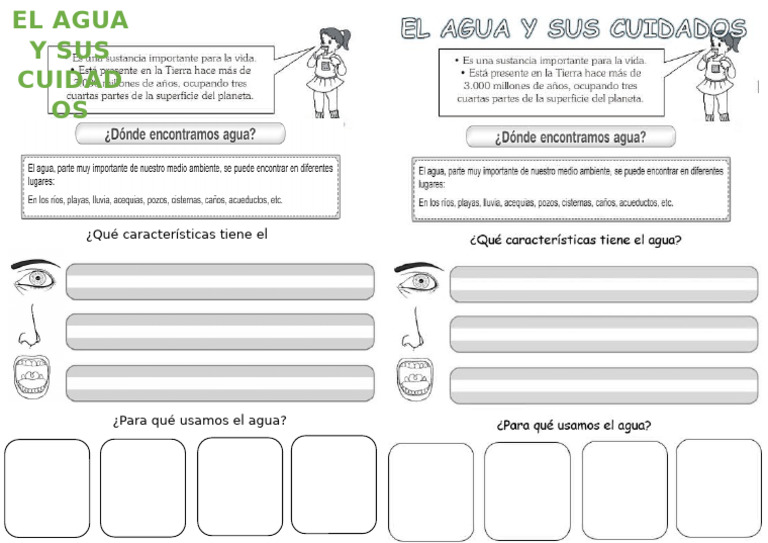 Ficha El Agua | PDF