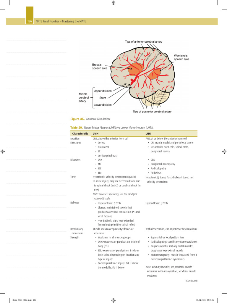 Content Neuro - Cranial Nerves Testing, UMN_LMN Lesions, Cerebellar ...