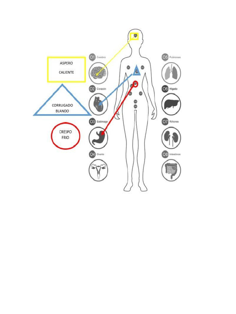 MAPA CORPORAL DE LAS EMOCIONES | PDF | Las emociones | Agresión