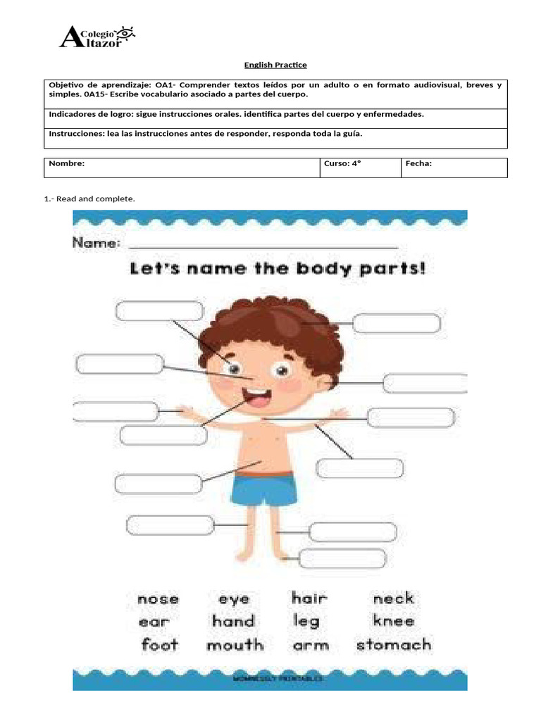 4 Body & Sickness | PDF