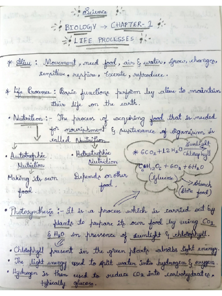 Biology.1-Life Processes | PDF