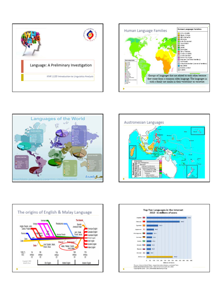 Language Preliminary Investigation | PDF | Linguistics | Semantics
