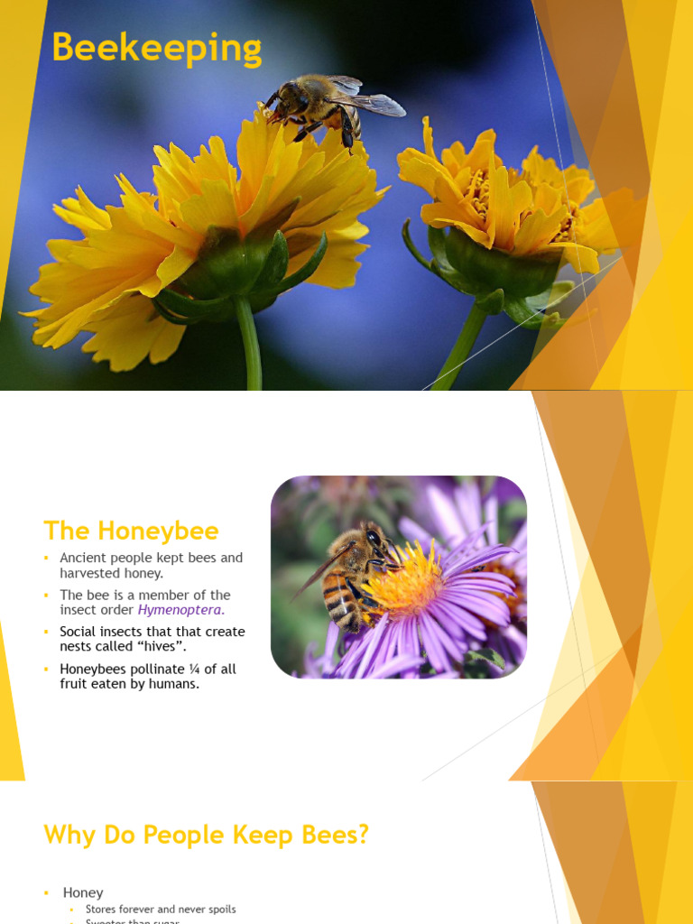 Beekeeping | PDF