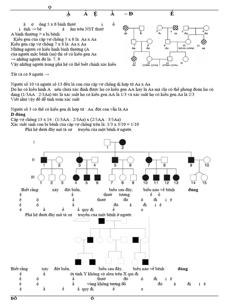 BT Pha He - 2 - Dap An | PDF