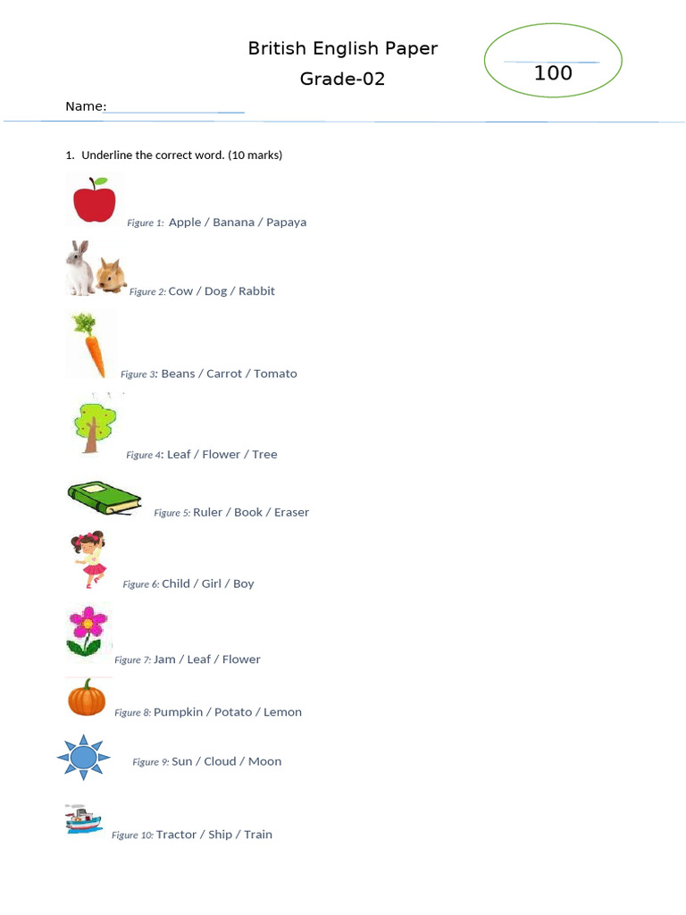 British English Paper | PDF