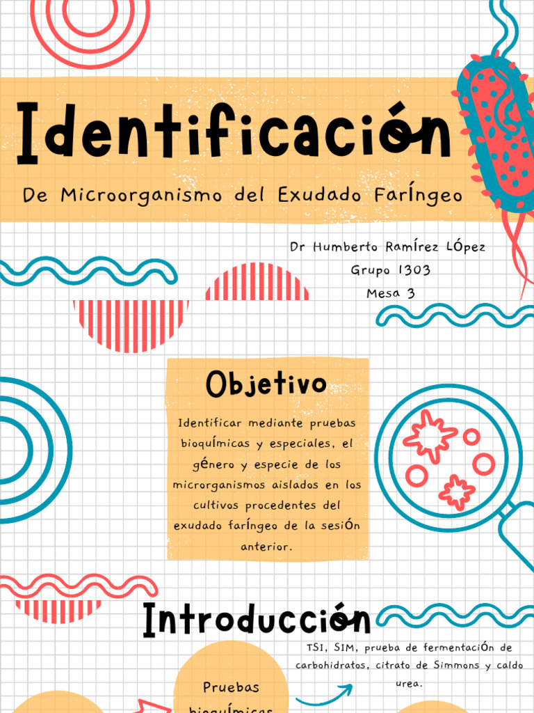 Exposición identificación de exudado faringeo_20250310_073429_0000 ...
