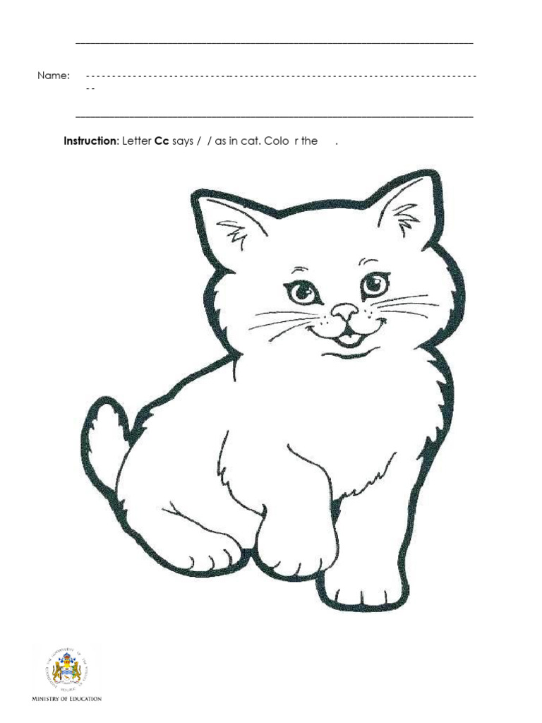 Literacy Year 1 - 2021 - Week 3 - Letter C | PDF