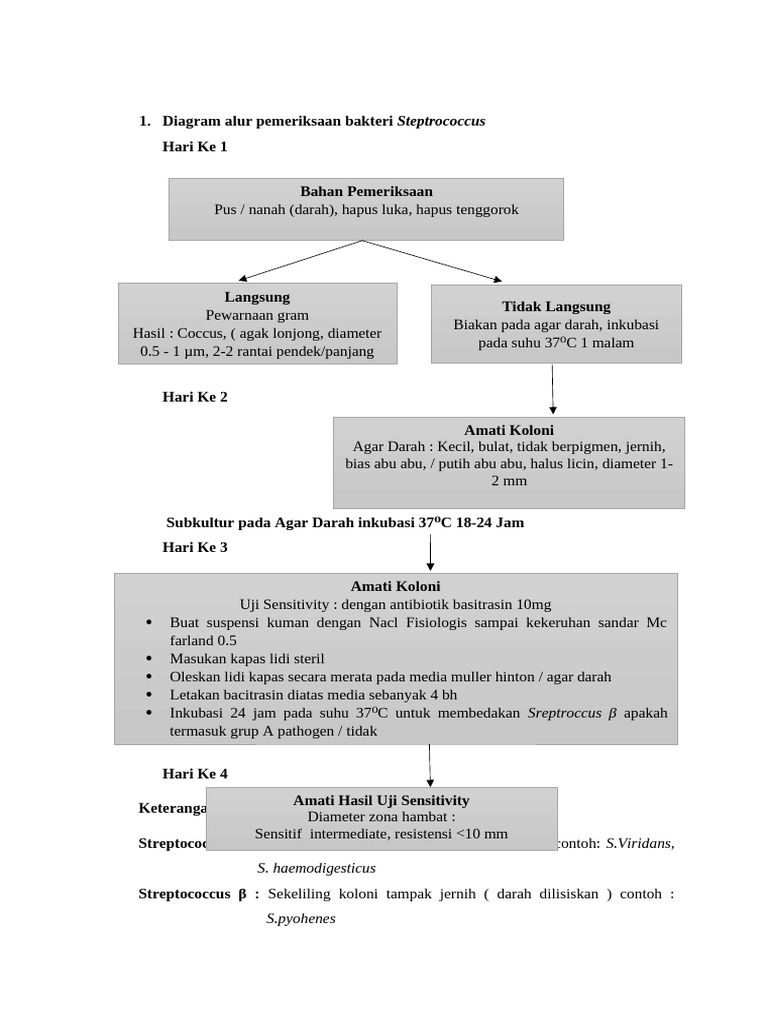 Identifikasi Streptococcus pada Sapi Mastitis | PDF