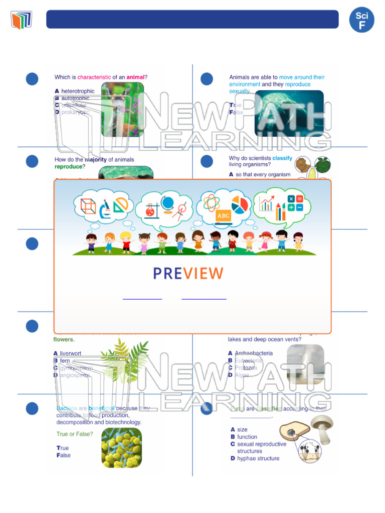 Worksheet Science Grade 6 Six Kingdoms of Life 2030 1 | PDF | Business ...