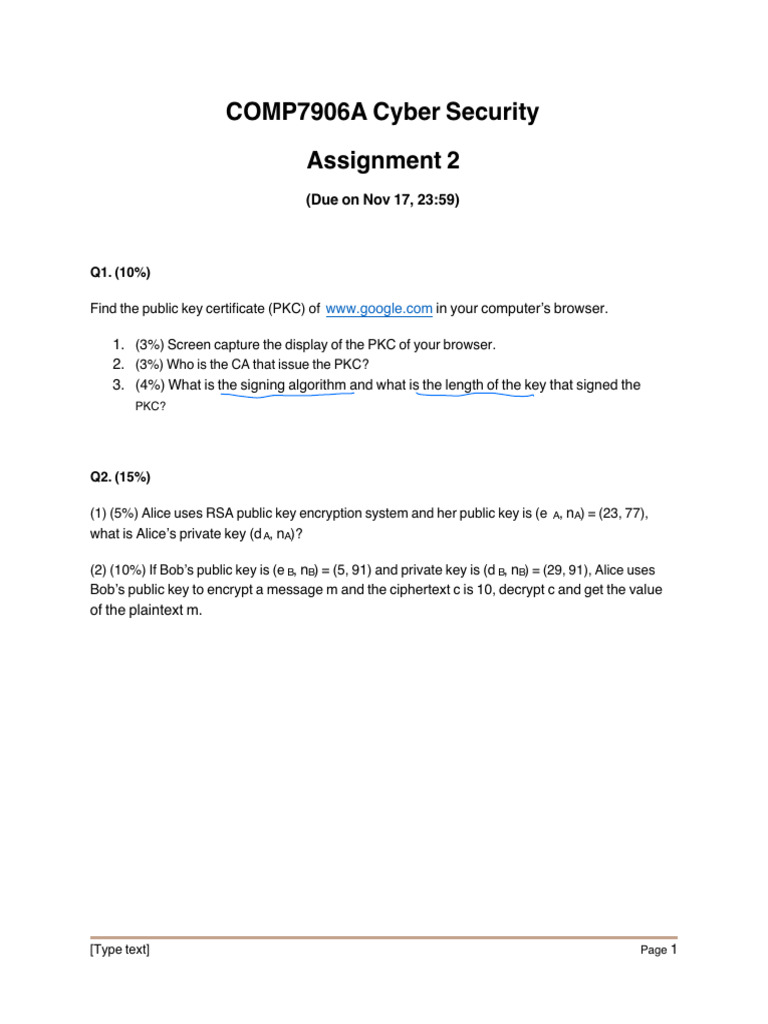 Cyber Security Assignment on PKC and RSA | PDF
