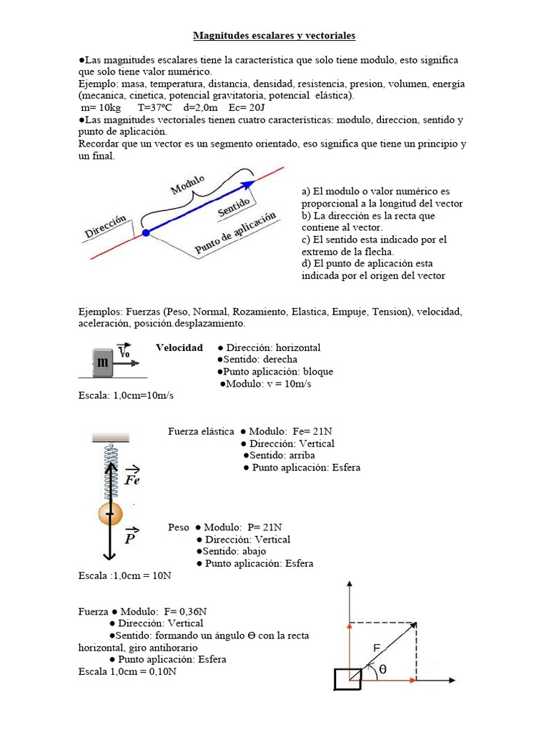 Magnitudes Escalares y Vectoriales en Física | PDF