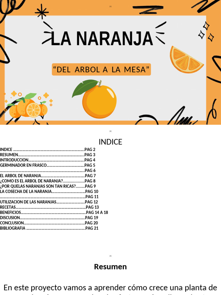 La Naranja | PDF | Naranja) | Papel