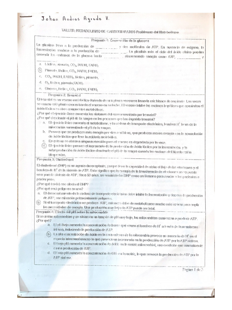 Johan Andros Agredo V. | PDF