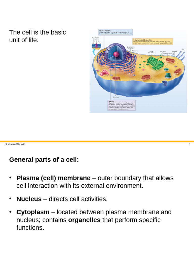 Basics of Cellbiology | PDF | Diffusion | Osmosis