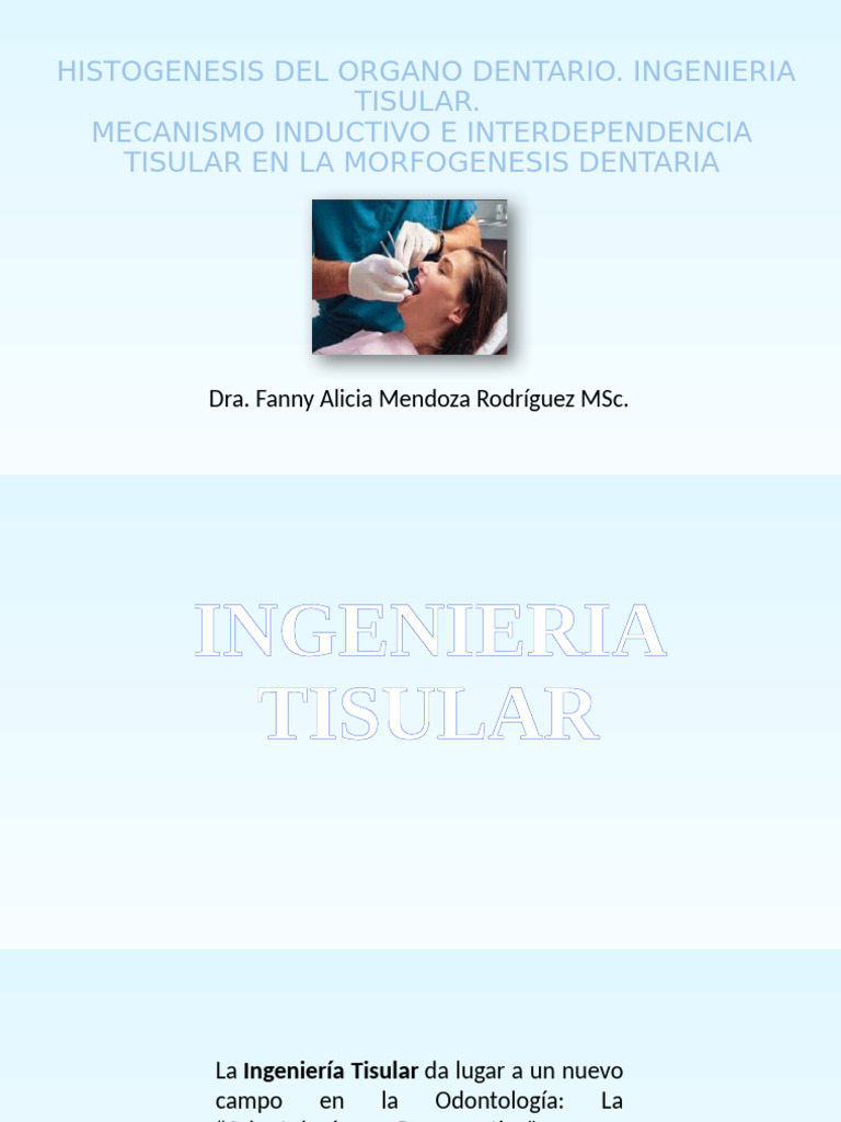 Histogénesis y Morfogénesis Dentaria | PDF | La matriz extracelular ...