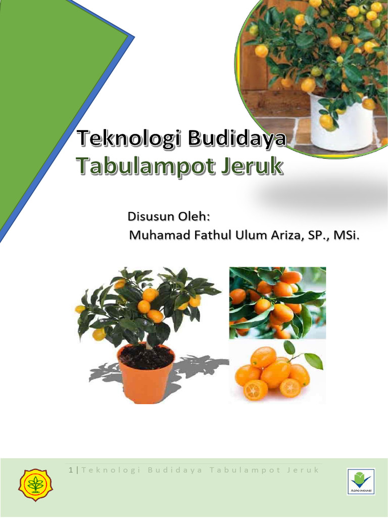 Brosur Teknologi Budidaya Tabulampot Jeruk | PDF