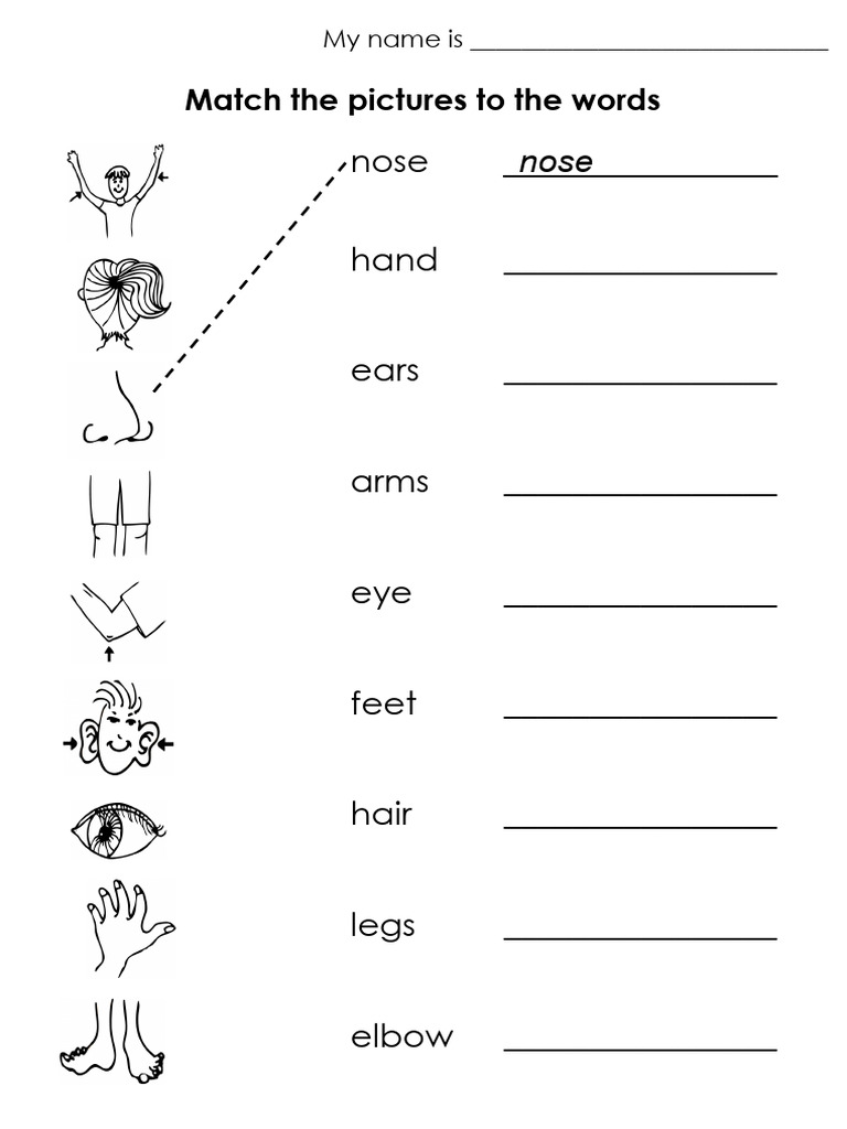 Body & face worksheets for ESL kids _ ESL KidStuff | PDF | Human Anatomy