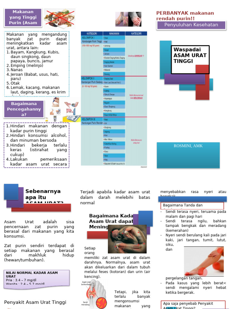 Leaflet Asam Urat | PDF