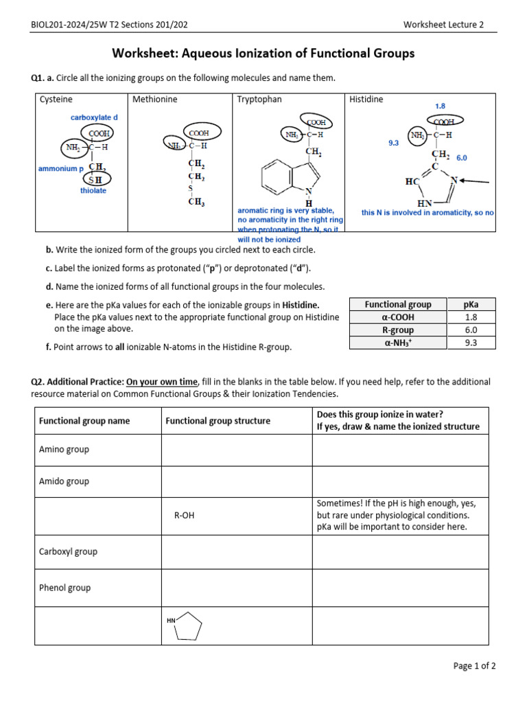 Aqueous Ionization of Functional Groups Worksheet | PDF | Acid ...