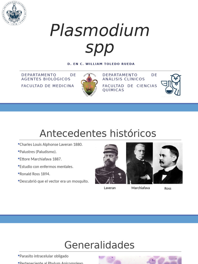 24.-Plasmodium SPP | PDF | Malaria | Plasmodium