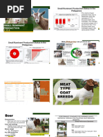 Breeds of Goats | PDF