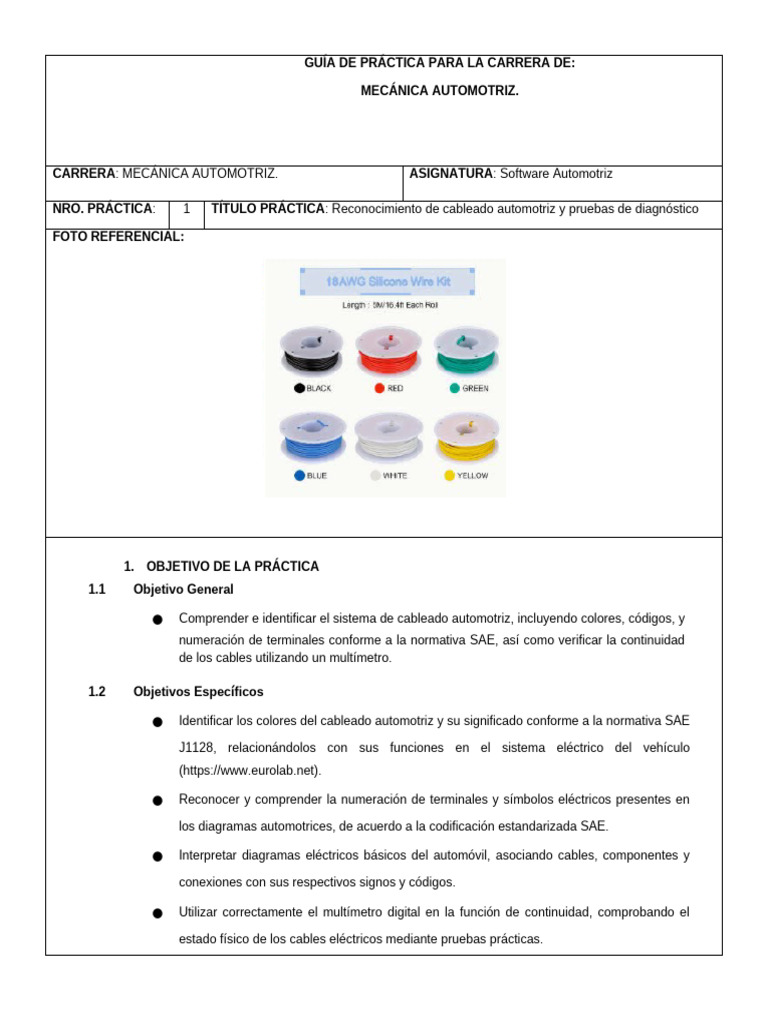 Práctica 1. Software Automotriz. IPAO 2025.. | PDF | Conector eléctrico | Software