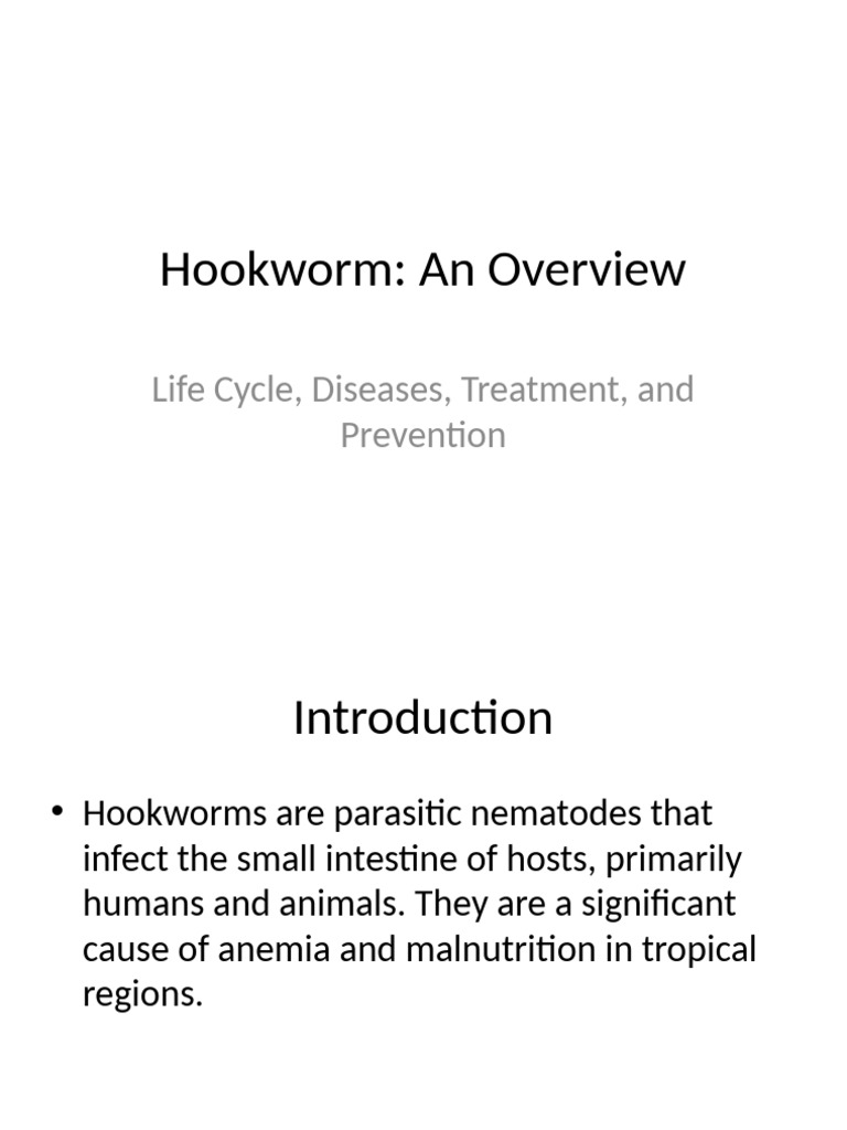 Hookworm Presentation | PDF