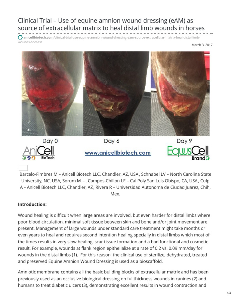 anicellbiotechcom-Clinical Trial Use of equine amnion wound dressing ...